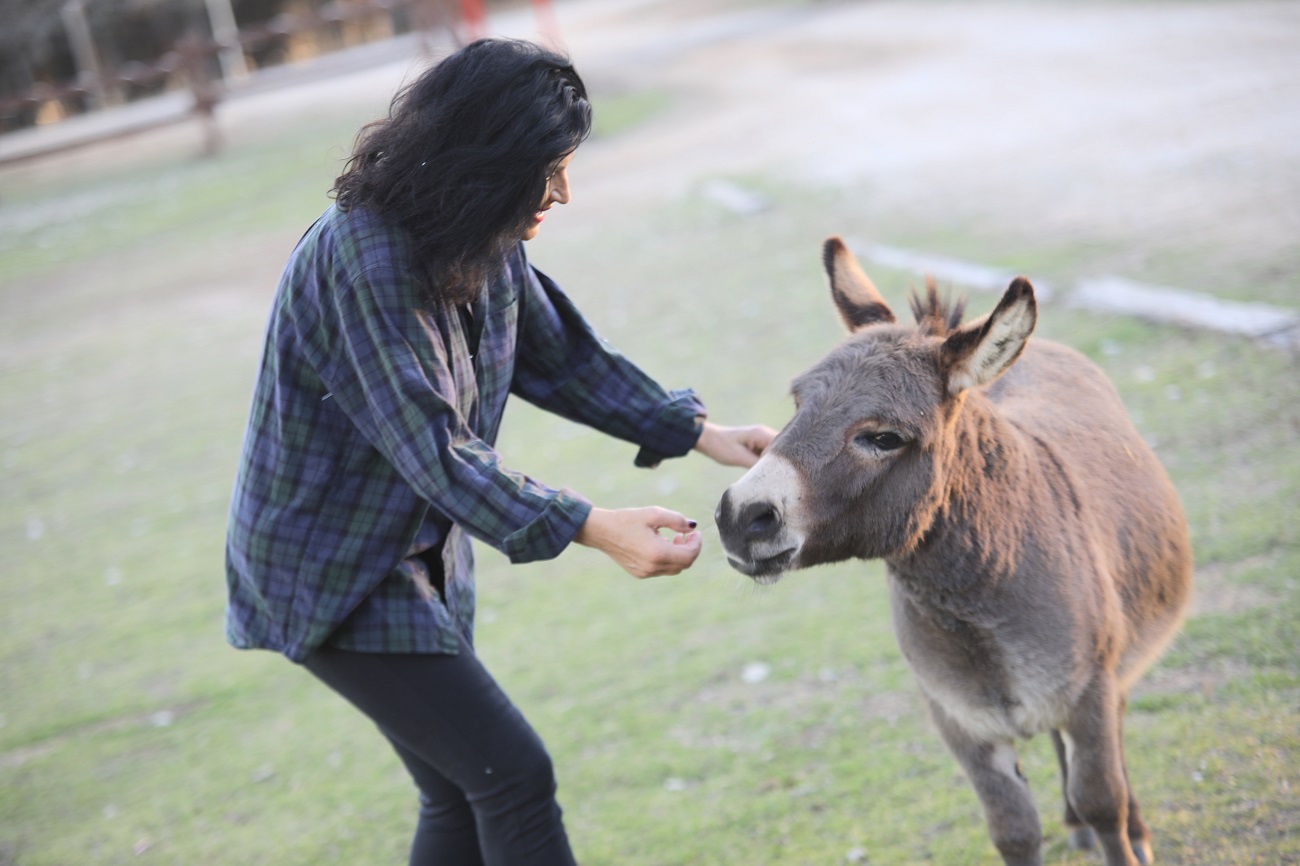 Donate - Rush Creek Sanctuary
